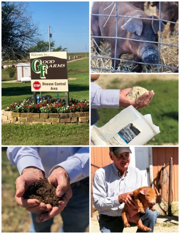 Farm To Table A Kansas Farm Food Tour | Garden in the Kitchen