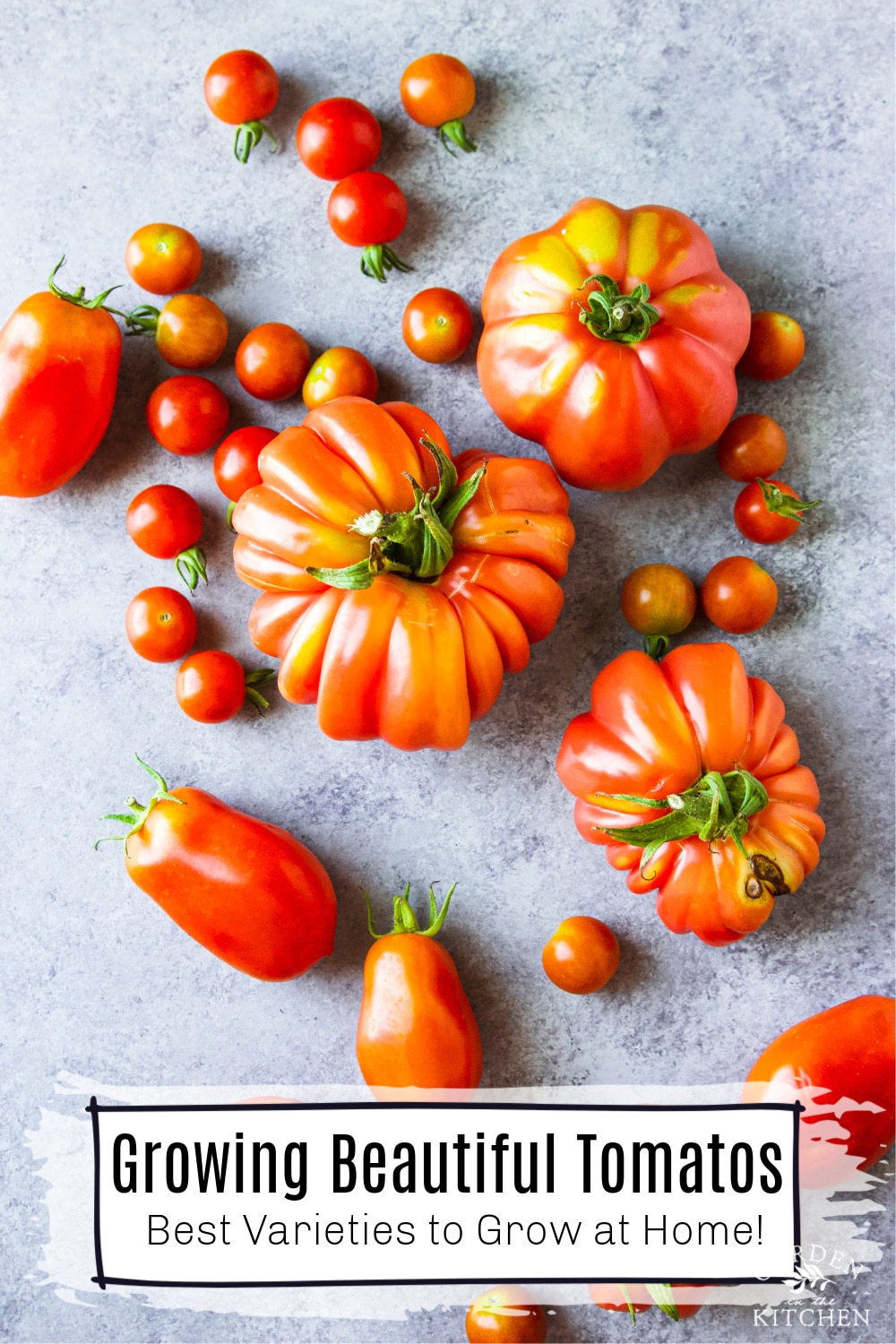 Growing Beautiful Tomatoes | Garden in the Kitchen