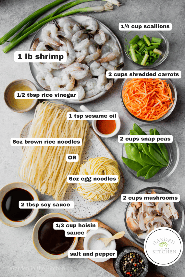 Shrimp Lo Mein Recipe | Garden in the Kitchen