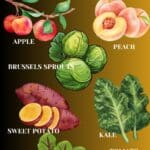 August Produce Guide and Recipes | Garden in the Kitchen