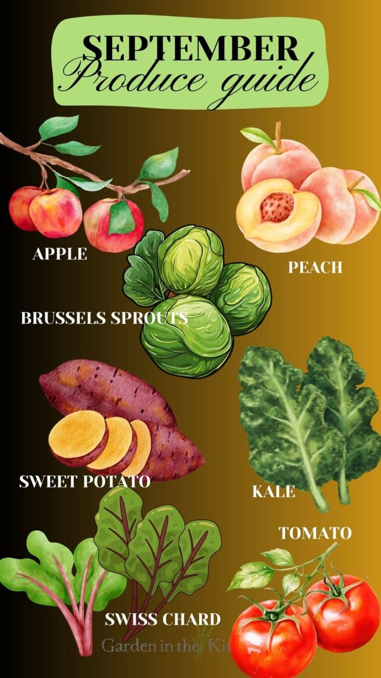 September Produce Guide and Recipes | Garden in the Kitchen